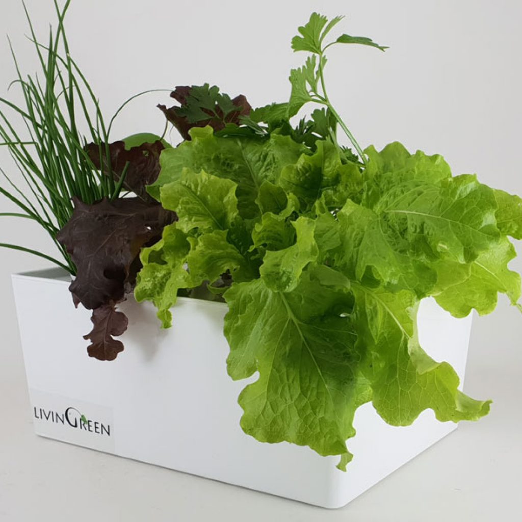 LivinGreen הידרופוניקה, אקוופוניקה וחקלאות מתקדמת | דף הבית