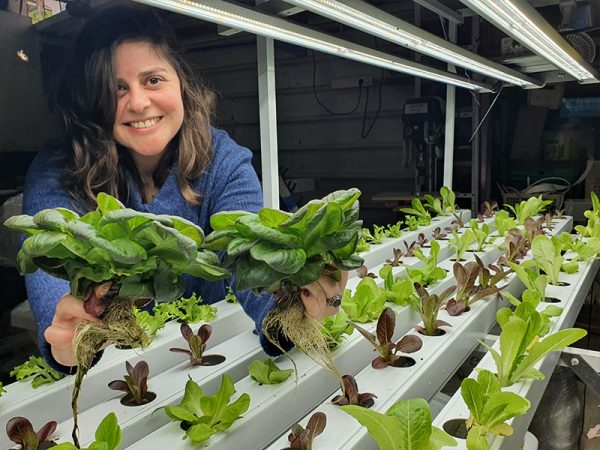 LivinGreen הידרופוניקה, אקוופוניקה וחקלאות מתקדמת | דף הבית